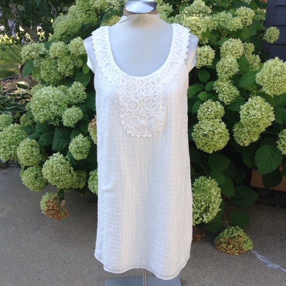 Max Studio | Dresses | Nwt Max Studio White Cotton Shift Dress M K ...